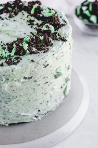 The Best Mint Chocolate Grasshopper Cake - Buckets of Yum